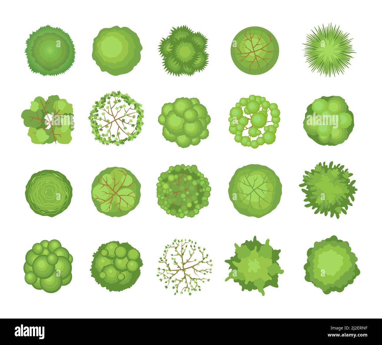 Tree crowns set. Top aerial view, green foliage, park, forest, garden ...