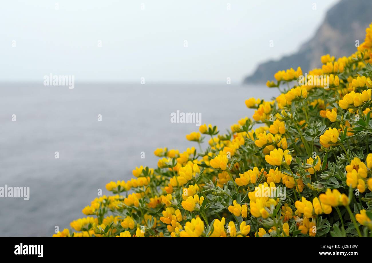 The beautiful coast of Capri, Italy Stock Photo - Alamy