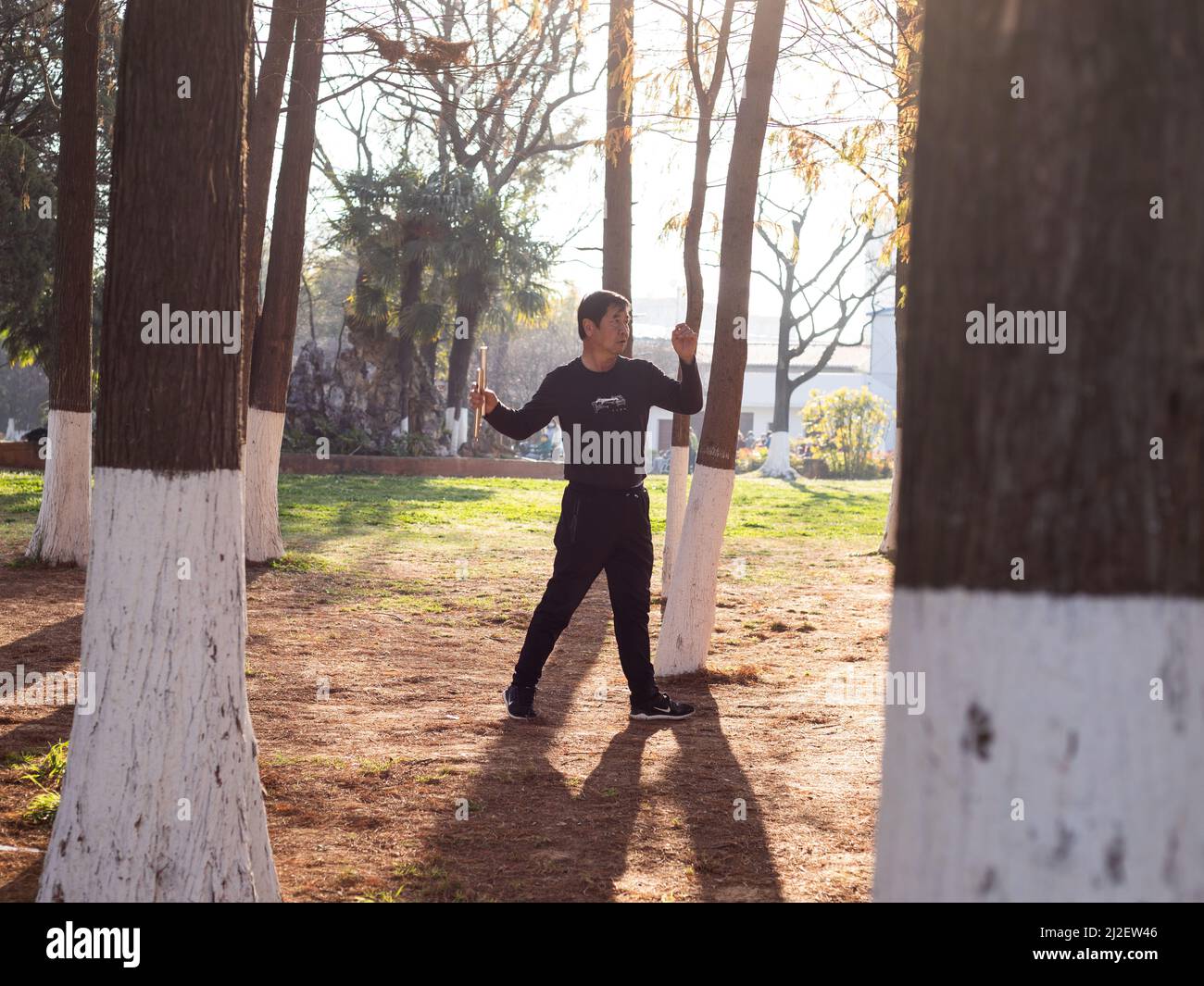 Elder man excercise martial arts in a park with trees around Stock ...