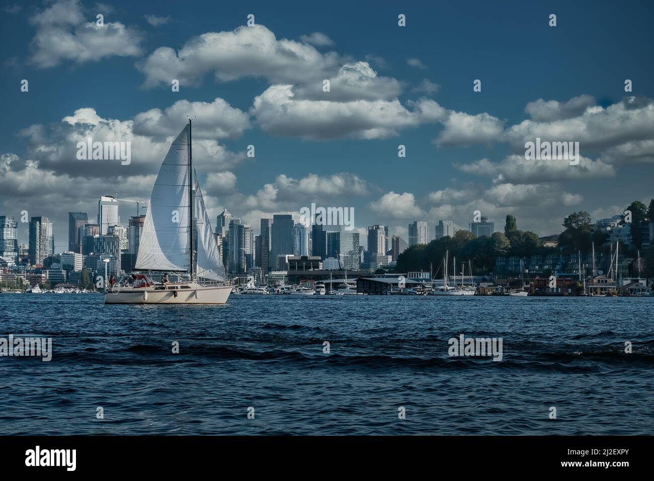 Sail Boat in South Lake Union with the Seattle Skyline in the distance ...