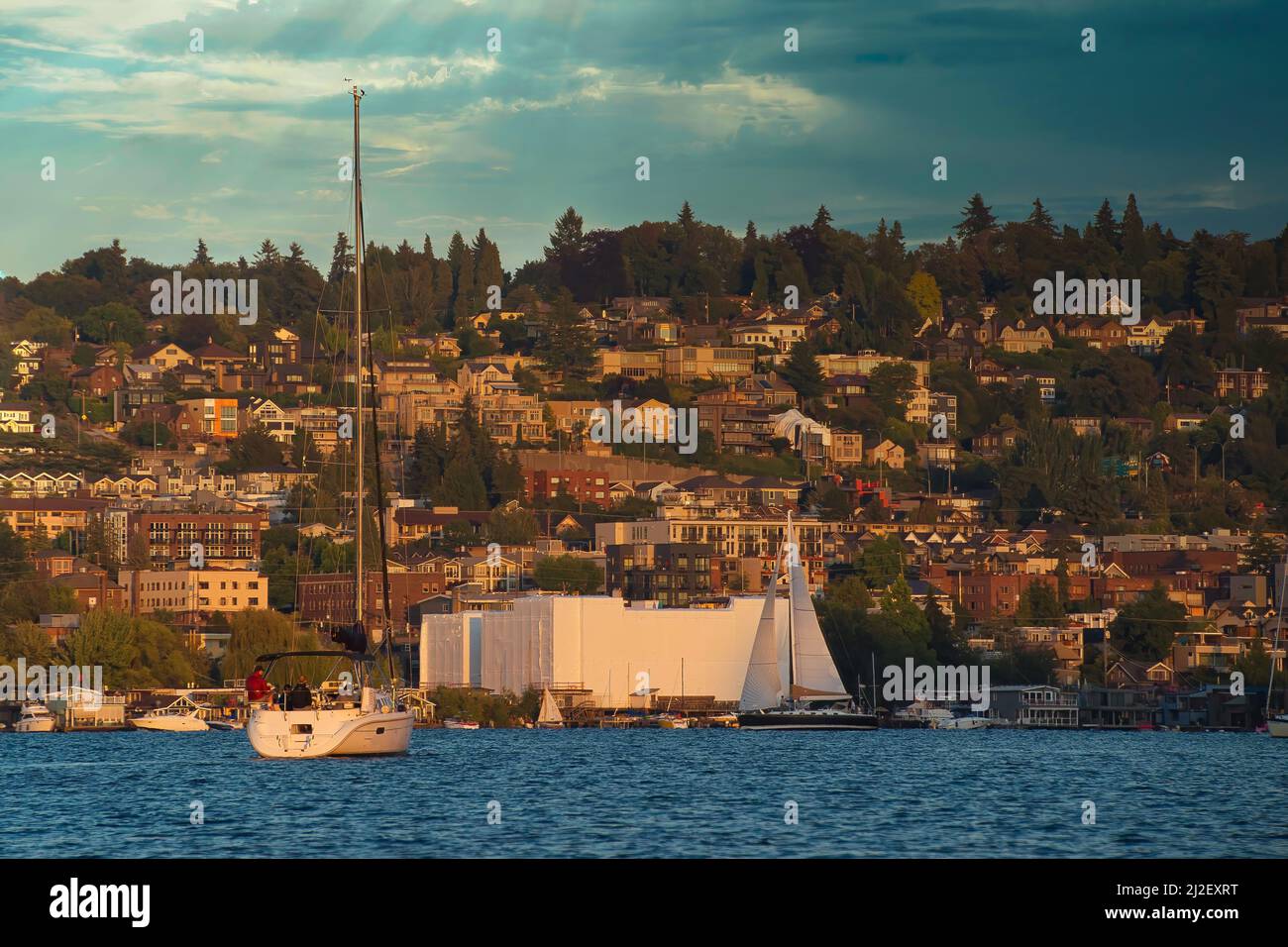 SOUTH LAKE UNION WITH SAIL BOATS AND A VIEW OF THE WESTERN SHORELINE OF ...