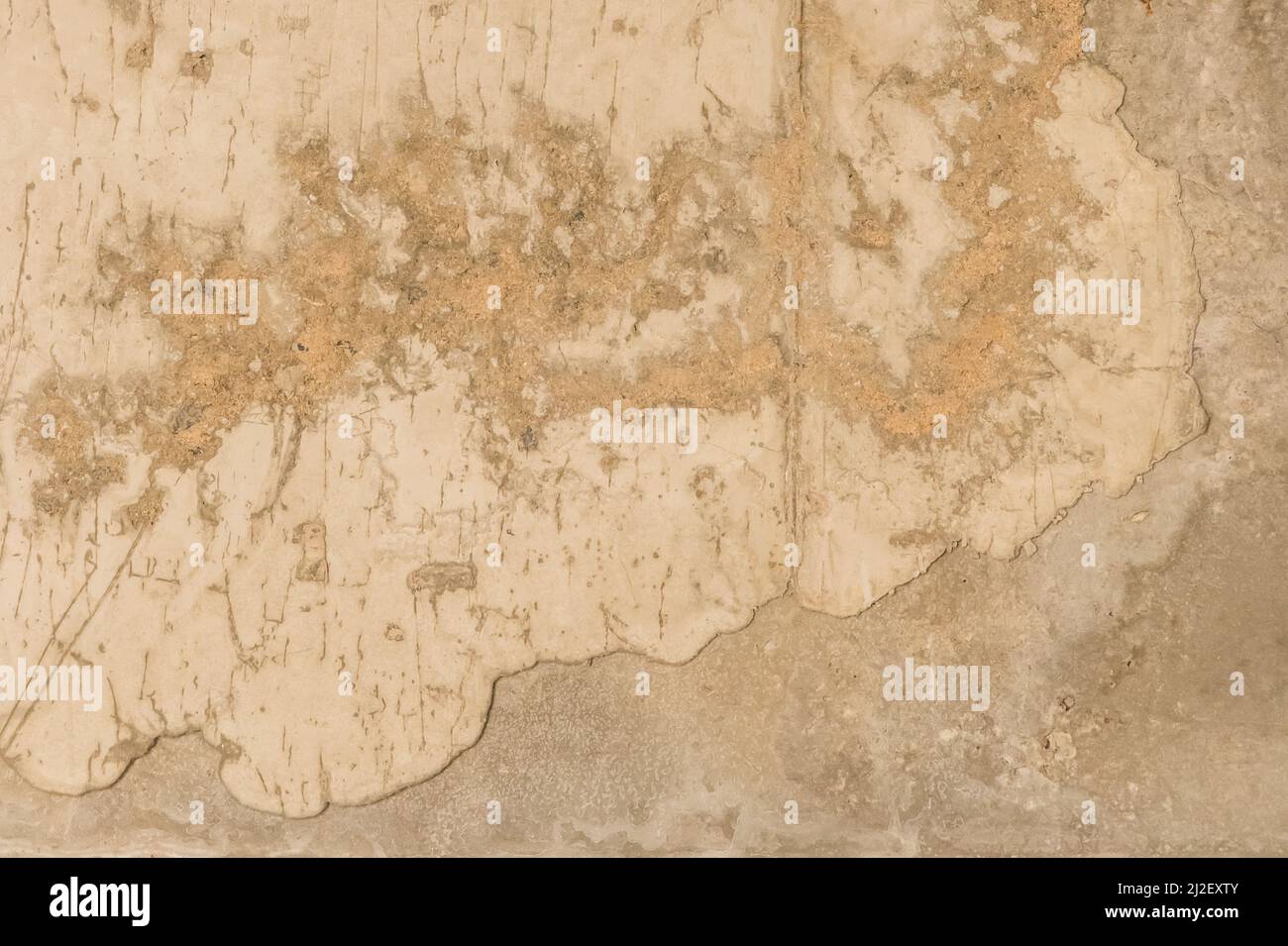 Retro Dirty Color Wall Old Surface Texture Vintage Antique Abstract ...