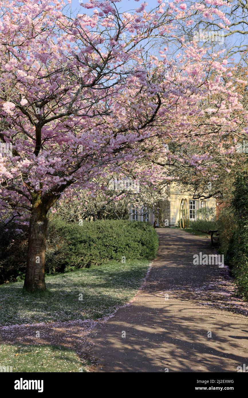 Spring in Bath Stock Photo - Alamy