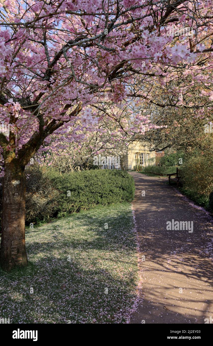 Spring in Bath Stock Photo - Alamy