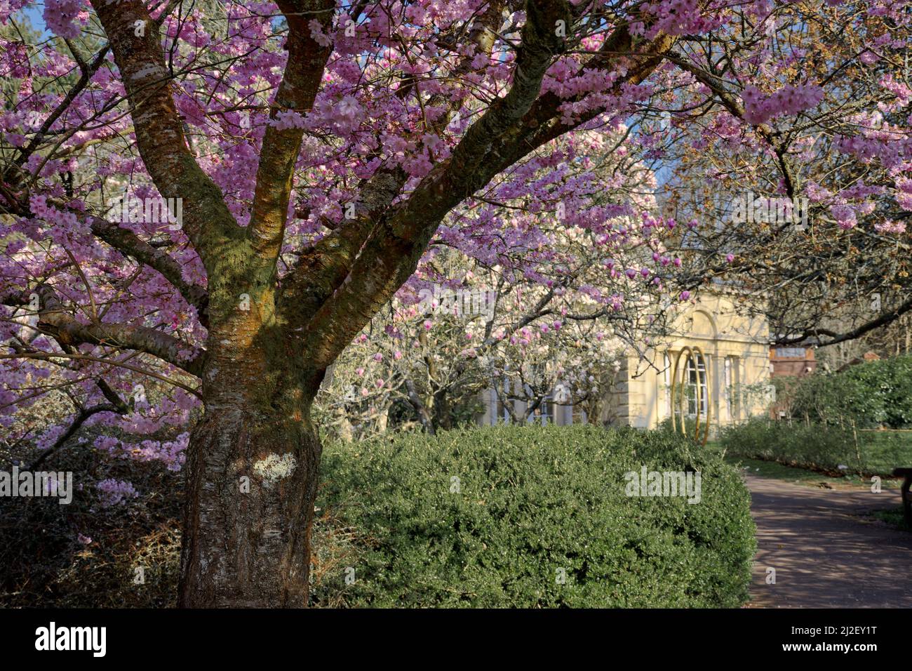 Spring in Bath Stock Photo - Alamy