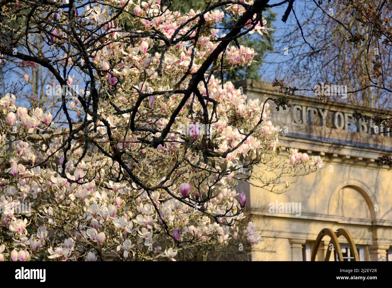 Spring in Bath Stock Photo - Alamy