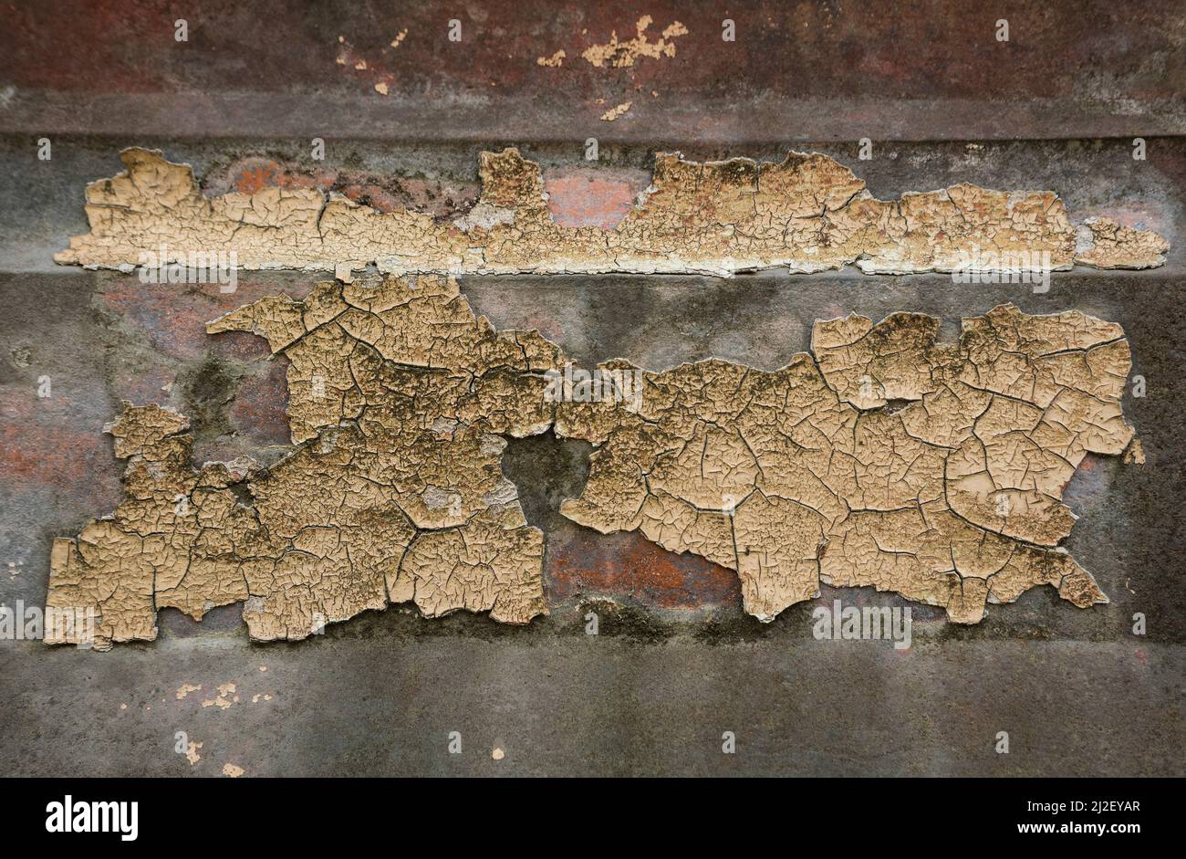 Flaking thick paint layers on a mausoleum in Norwood's overgrown ...