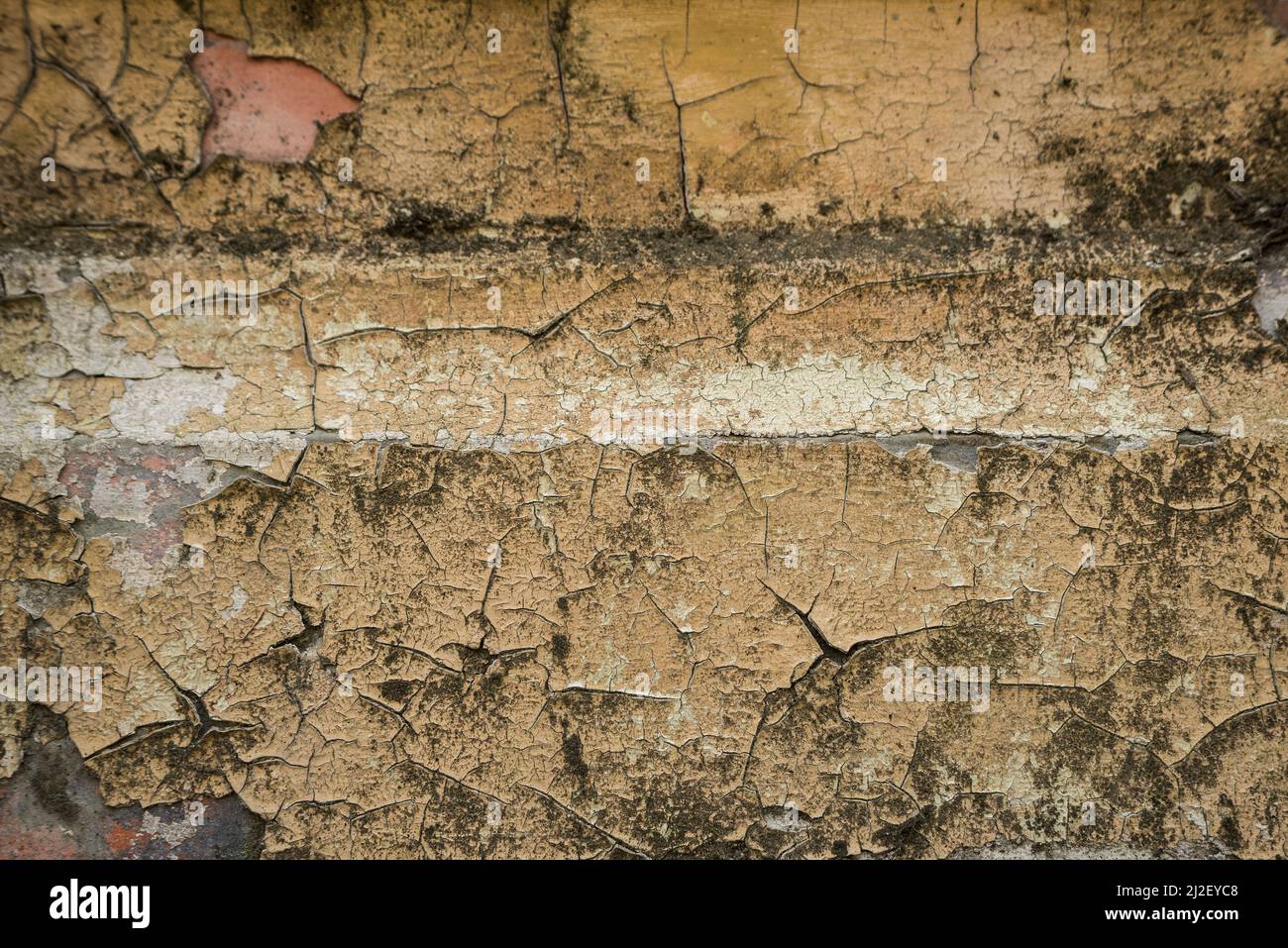 Flaking thick paint layers on a mausoleum in Norwood's overgrown ...