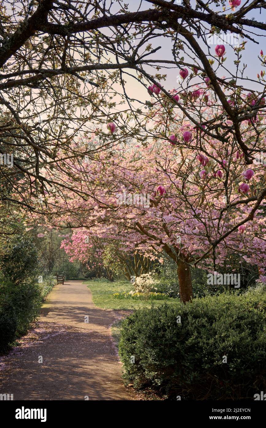 Spring in Bath Stock Photo - Alamy