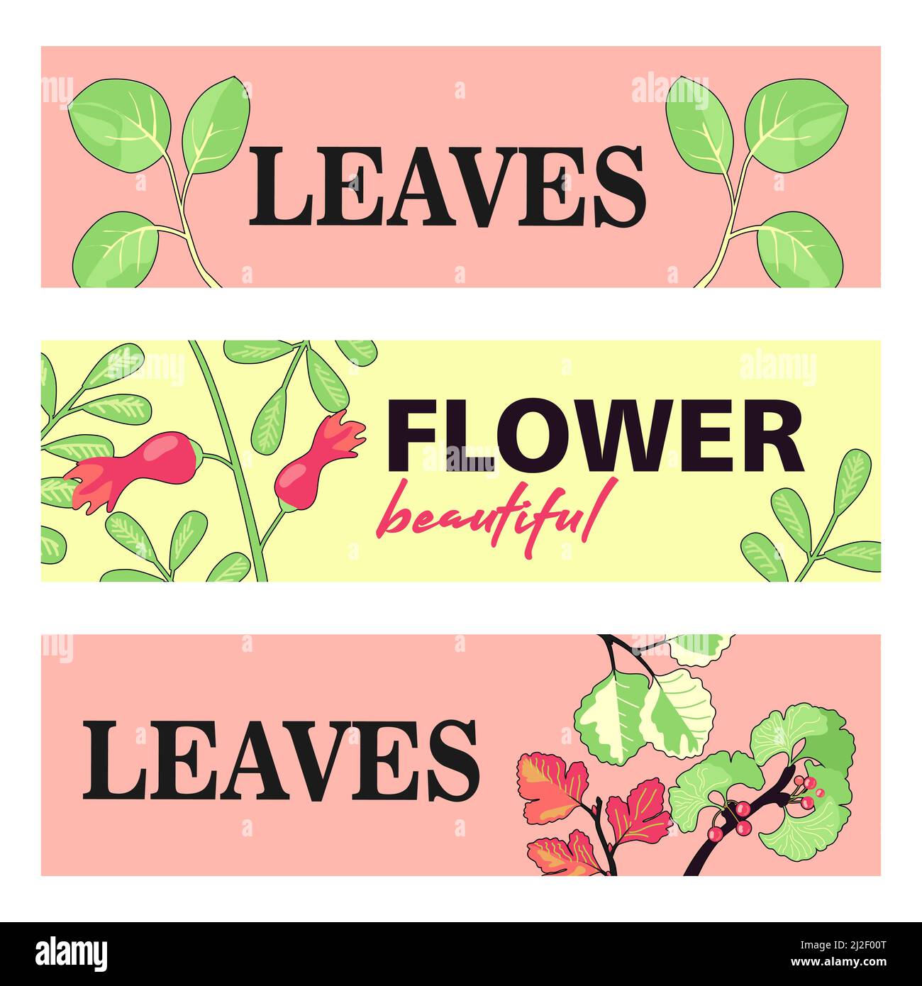 Promotional banner designs with leaves and flowers. Colorful banners on ...