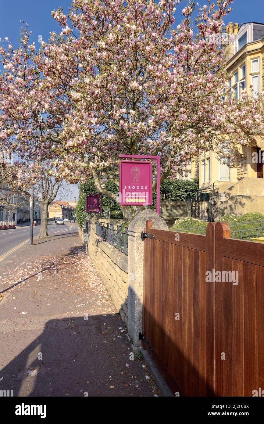 Spring in Bath Stock Photo - Alamy