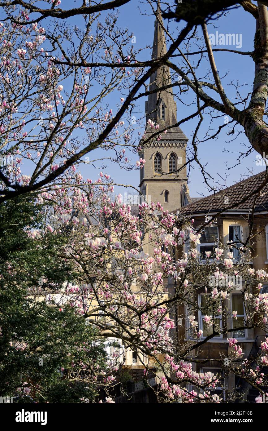 Spring in widcombe cottages bath Stock Photo - Alamy