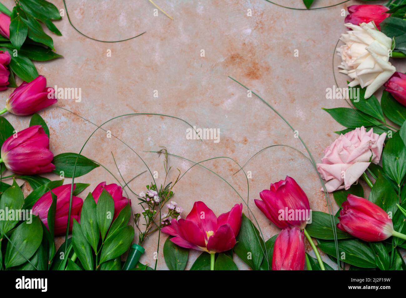 beautiful background with flowers . Spring summer border template ...