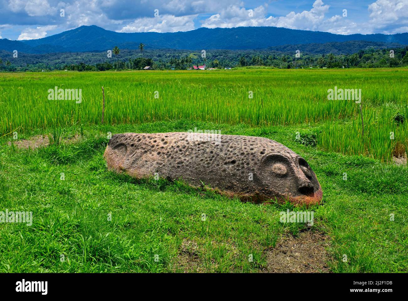 The shape of this statue is equipped with with a face that has 2 (two ...