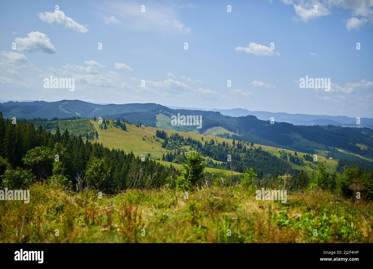 Beautiful mountain and forest in spring, Carpathian mountains, Ukraine ...