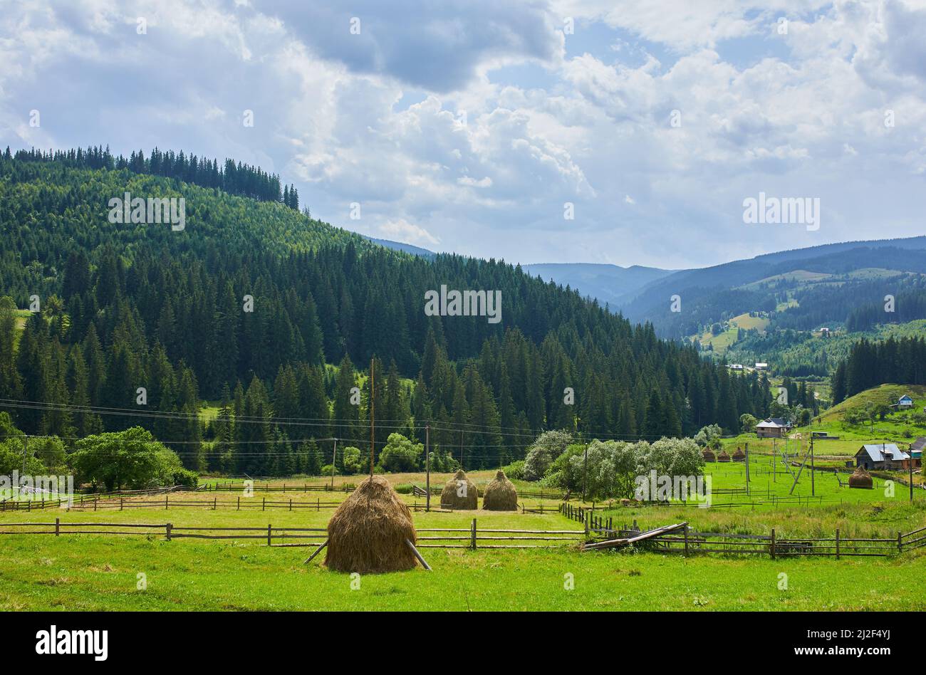 Beautiful mountain and forest in spring, Carpathian mountains, Ukraine ...