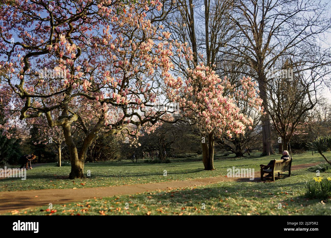 Spring in Bath Stock Photo - Alamy