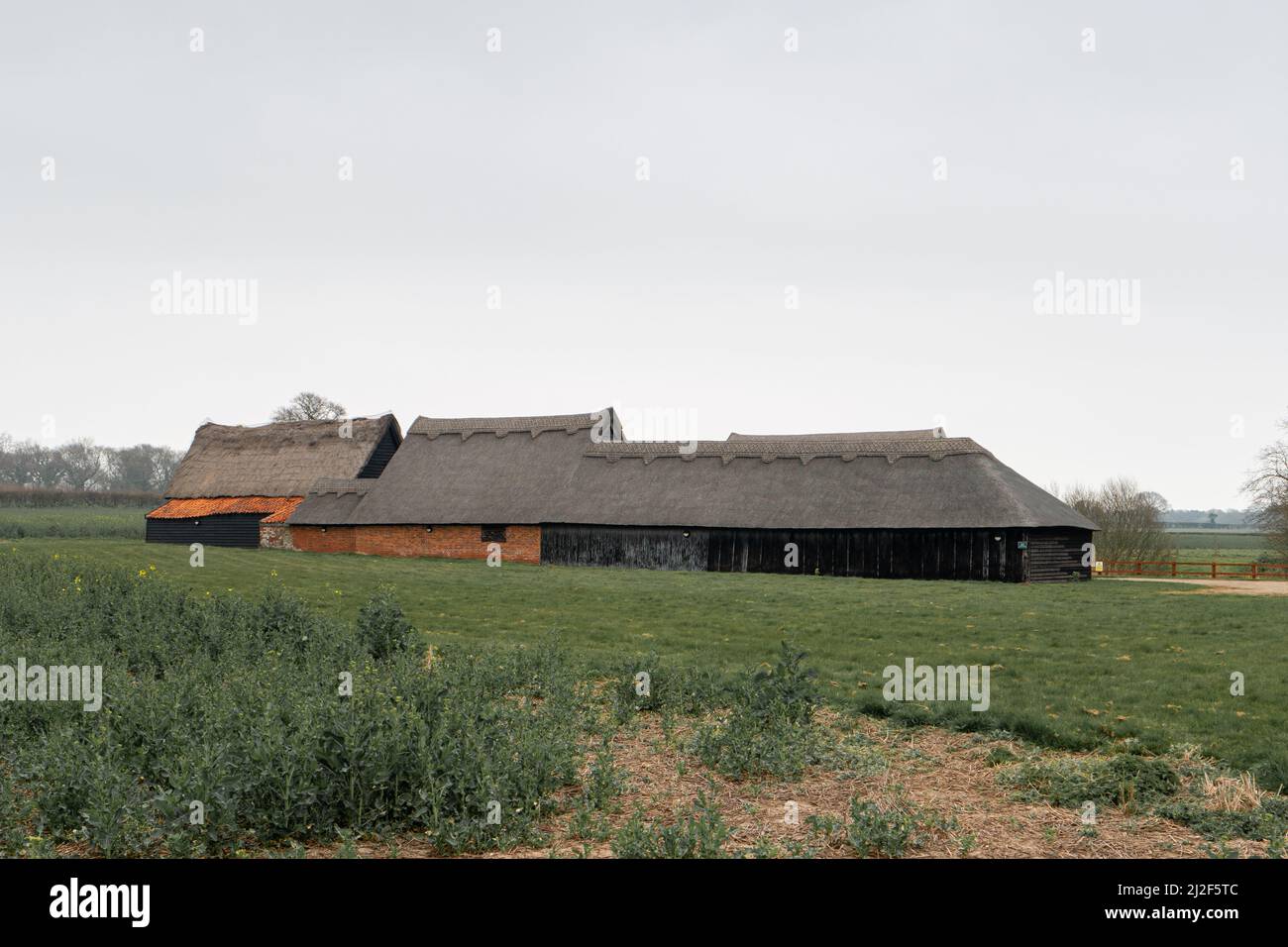 Traditional english thatched barn hi-res stock photography and images ...