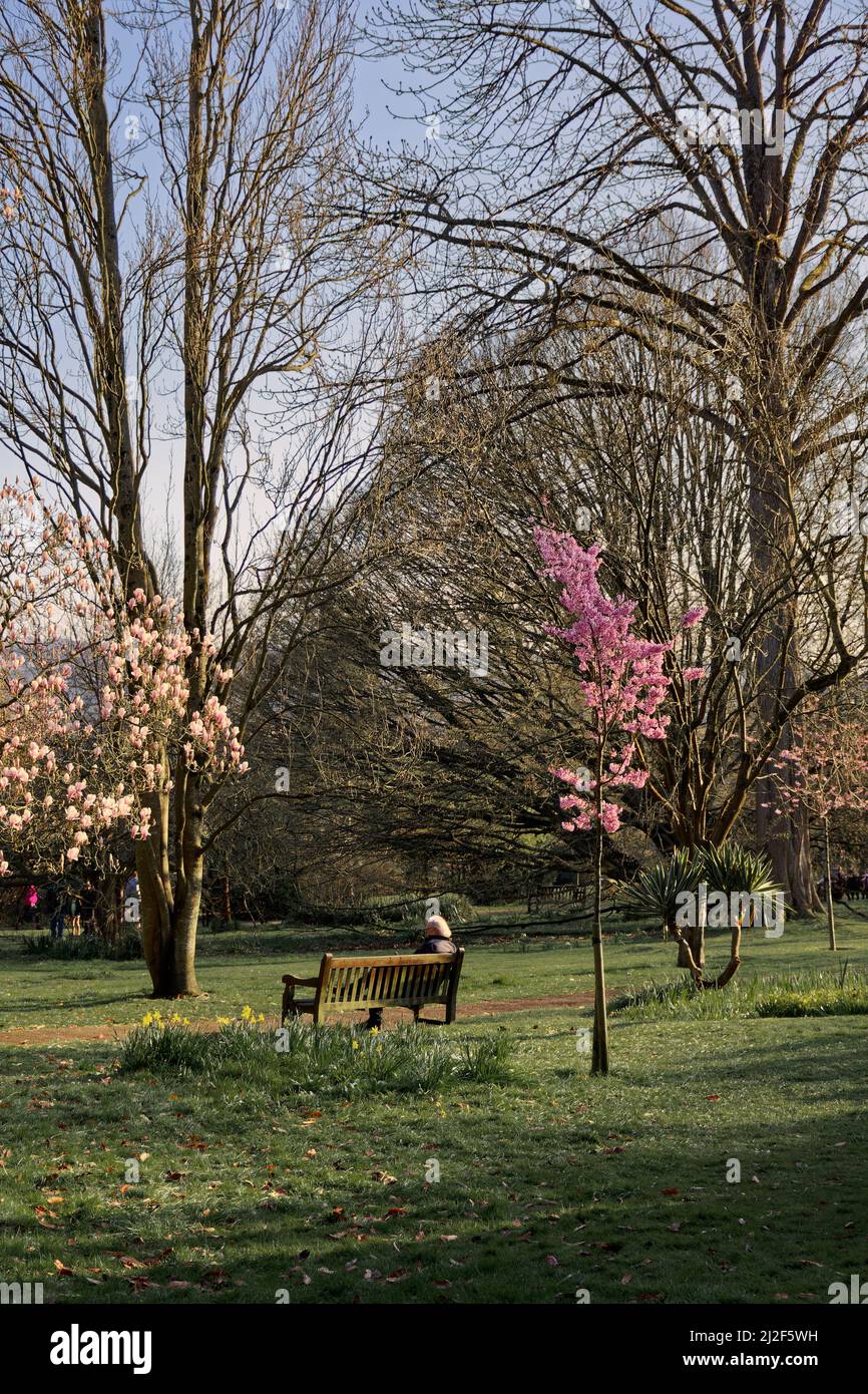 Spring in Bath Stock Photo - Alamy