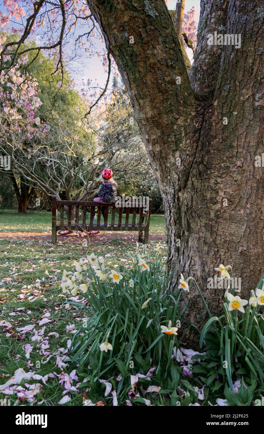 Spring in Bath Stock Photo - Alamy