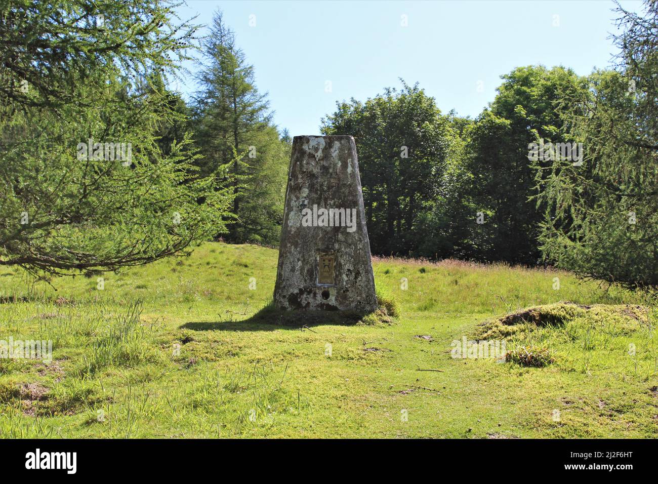 Stone in the woods, Peebles Stock Photo - Alamy