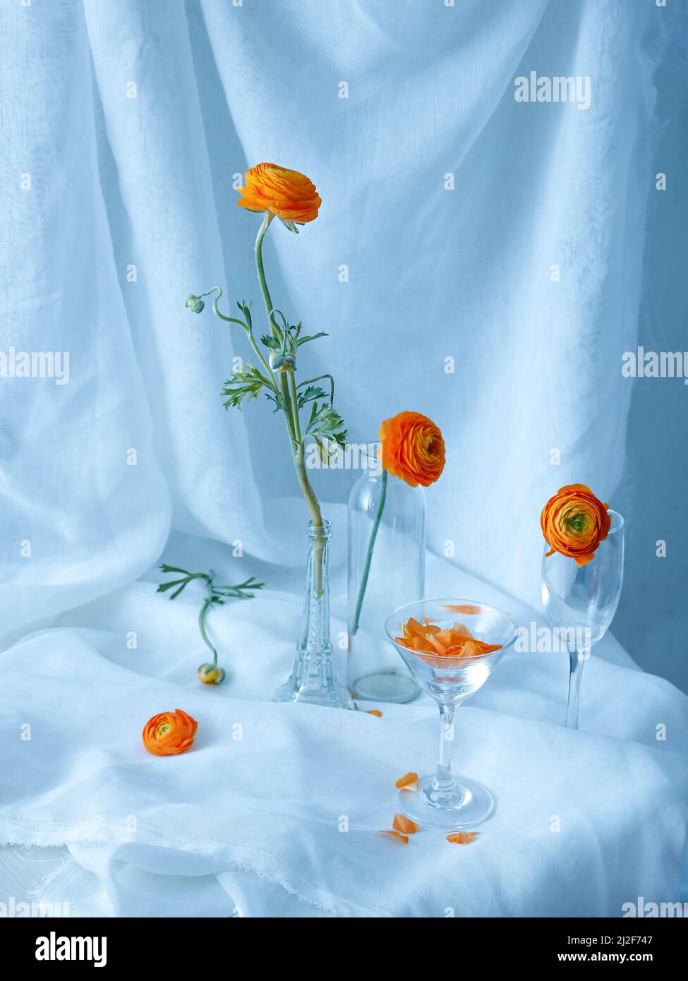 A vertical shot of beautiful floral still life with white sheets behind ...