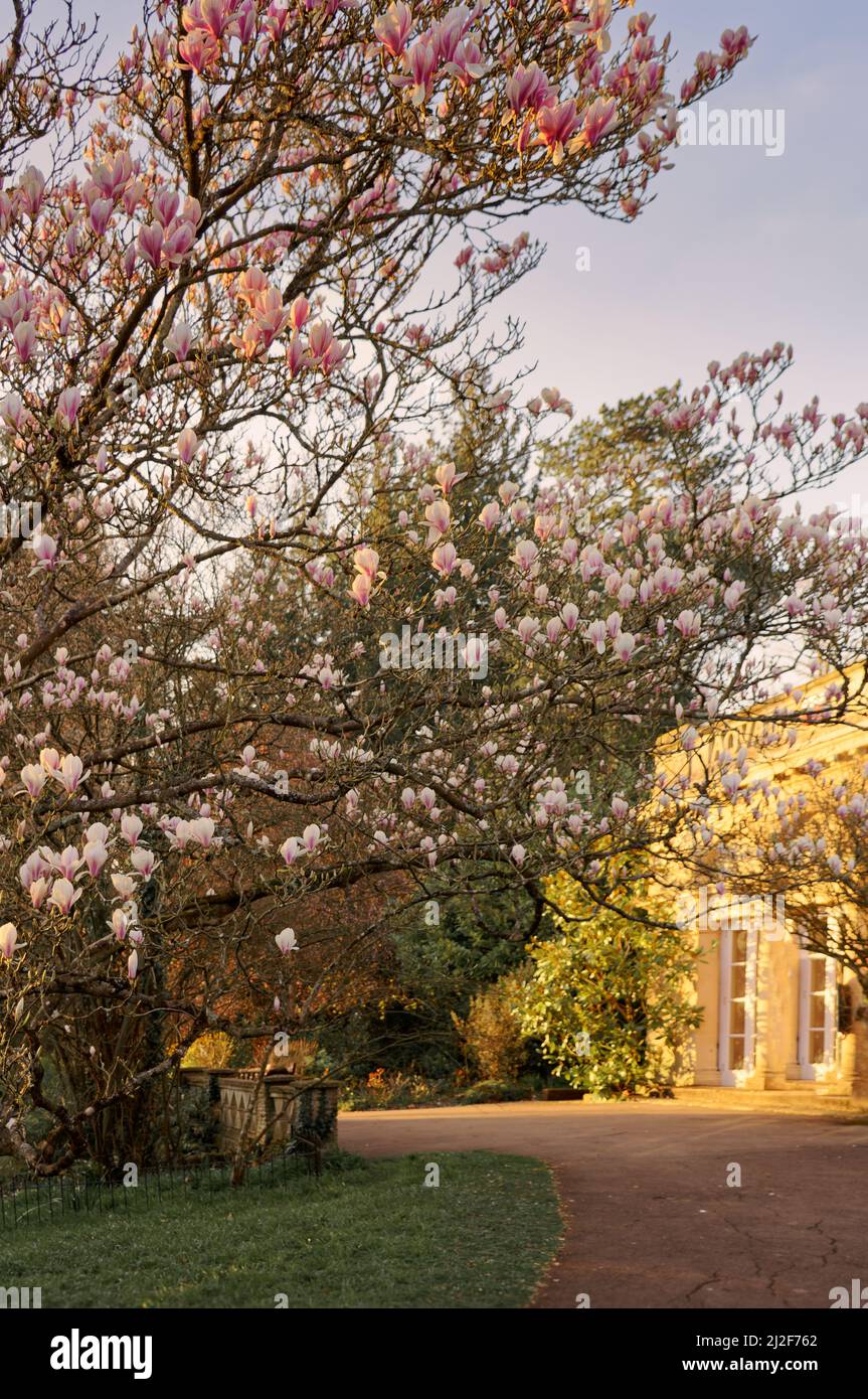 Spring in Bath Stock Photo - Alamy