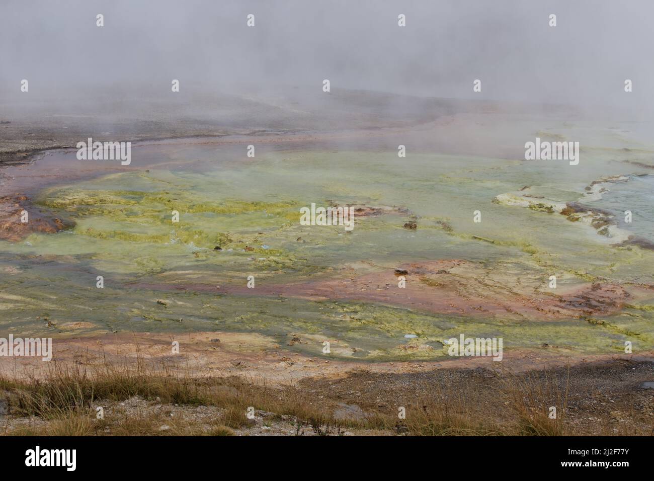 A natural view of the steaming hot spring in Yellowstone Park, United ...