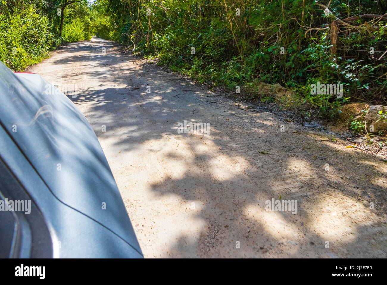 Driving on the gravel path road in the jungle and tropical nature of ...