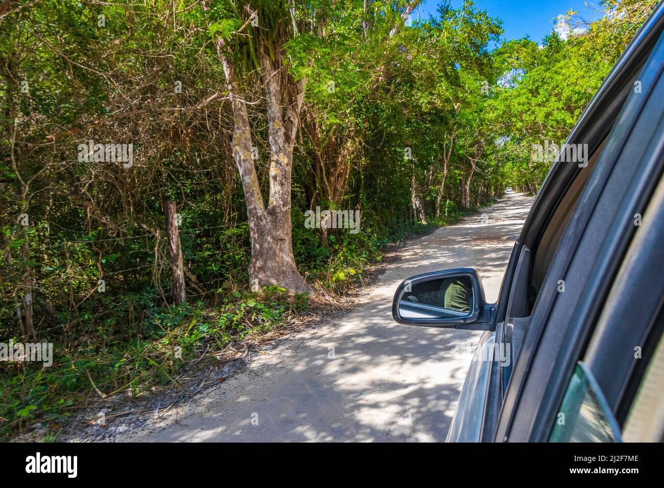 Driving on the gravel path road in the jungle and tropical nature of ...