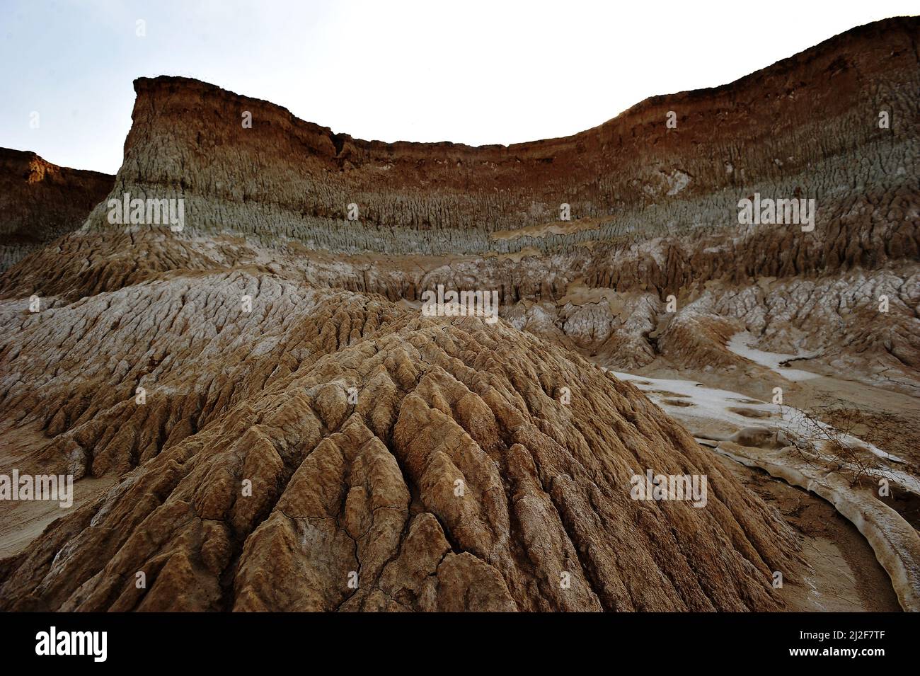 Photo taken on Jan 24, 2018 shows a landscape of soil forests in Datong ...