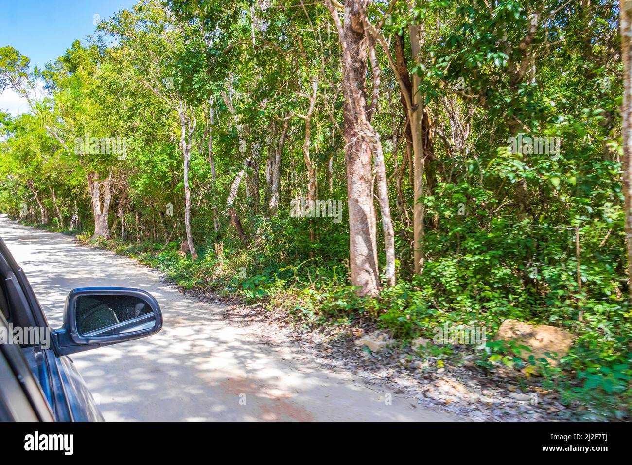 Driving on the gravel path road in the jungle and tropical nature of ...