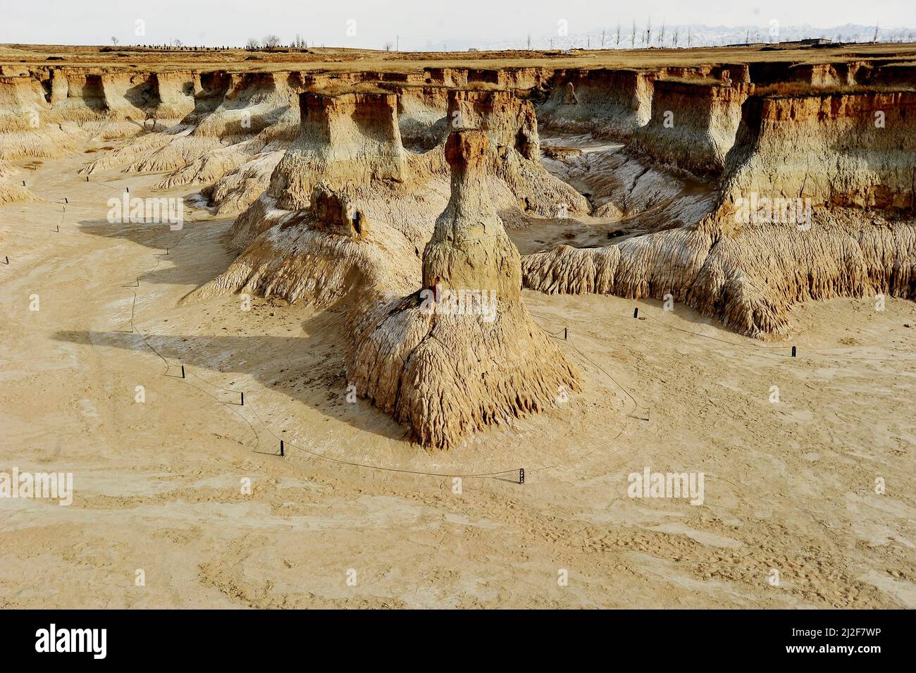 Photo taken on Jan 24, 2018 shows a landscape of soil forests in Datong ...
