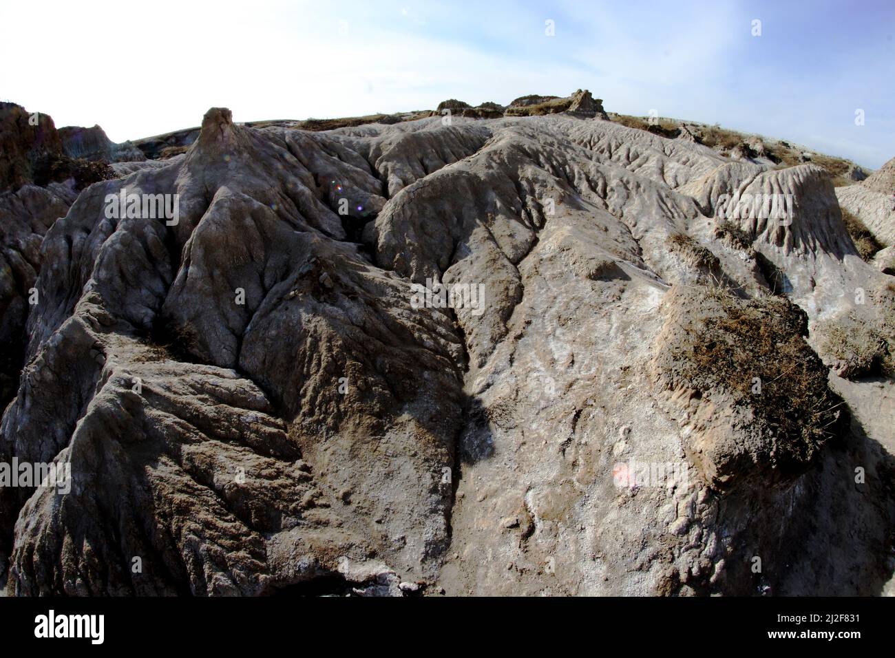 Photo taken on Jan 24, 2018 shows a landscape of soil forests in Datong ...