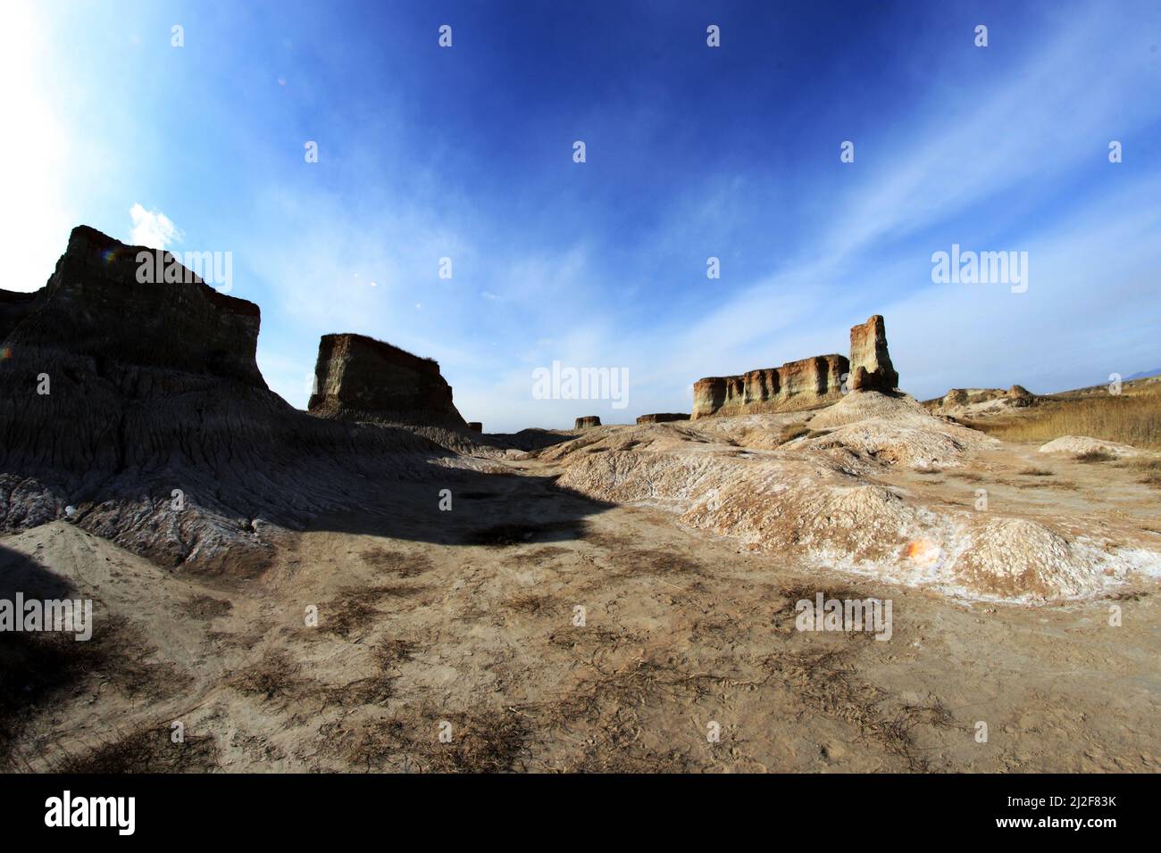 Photo taken on Jan 24, 2018 shows a landscape of soil forests in Datong ...