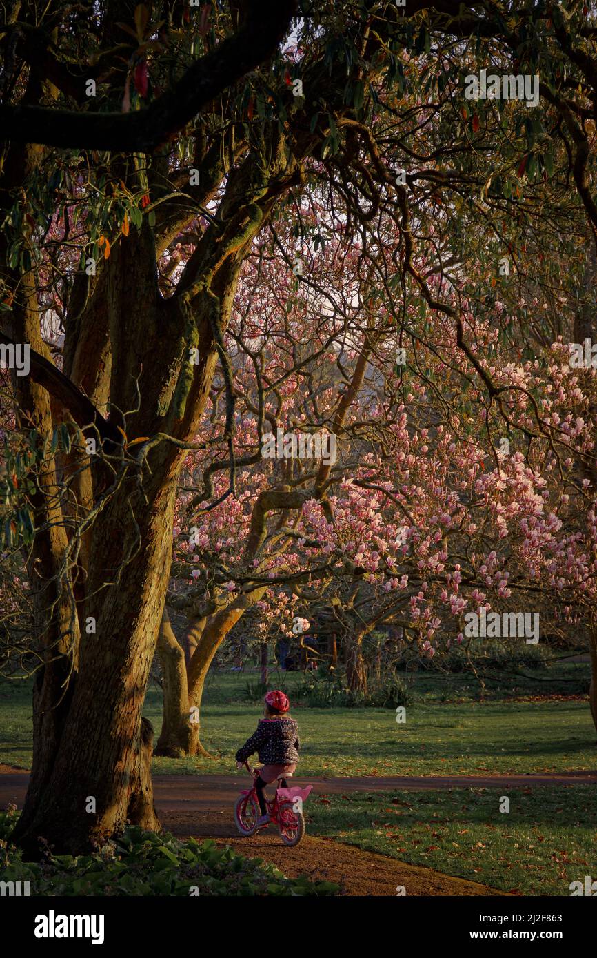 Botanical gardens heritage park in hi-res stock photography and images ...