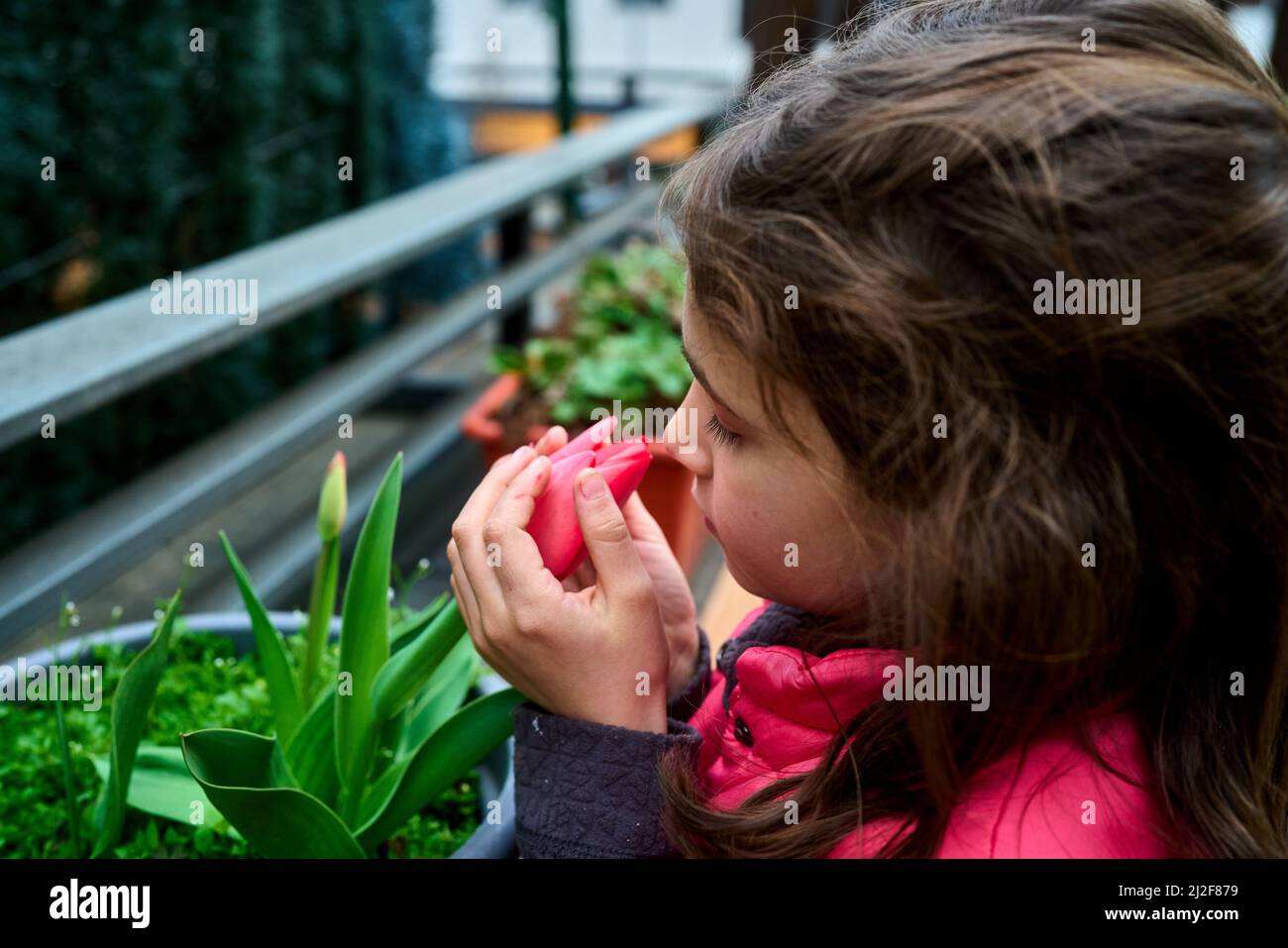 Smelling ground hi-res stock photography and images - Alamy