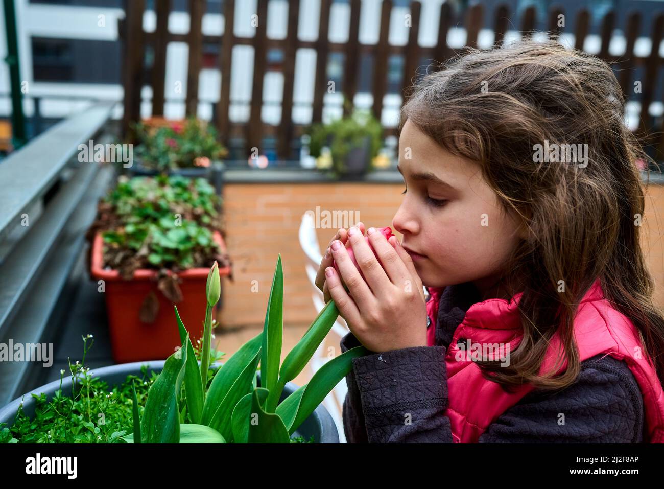 Smelling ground hi-res stock photography and images - Alamy