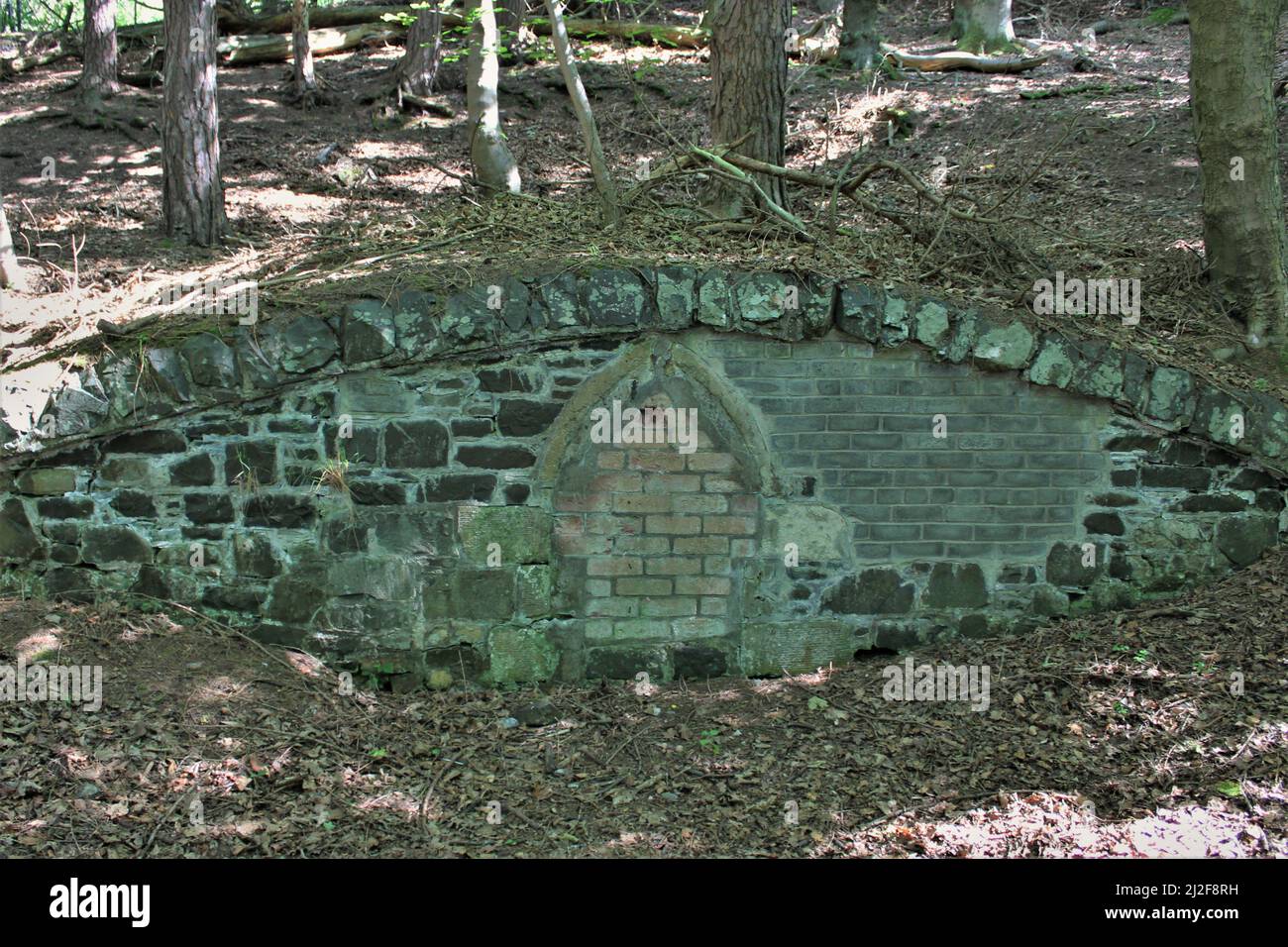 Stone eye in the woods Stock Photo - Alamy