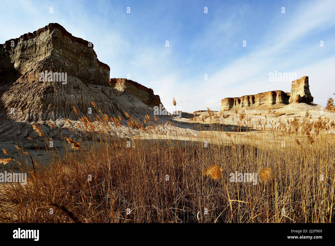 Photo taken on Jan 24, 2018 shows a landscape of soil forests in Datong ...