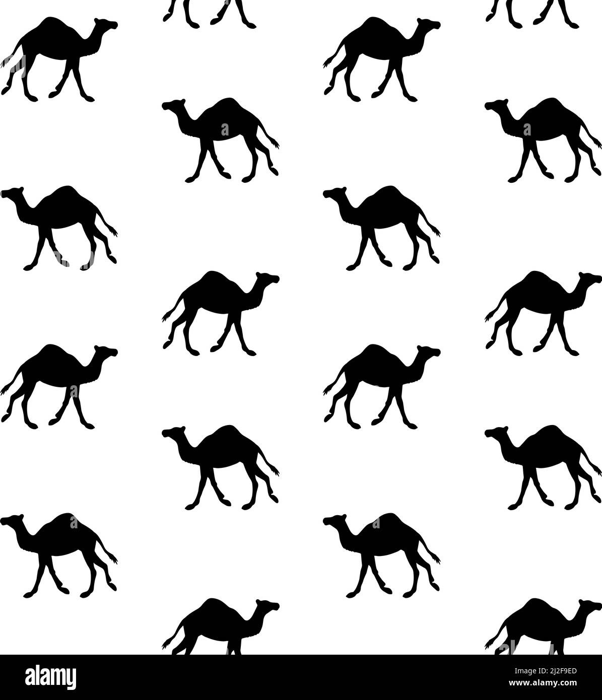 Vector seamless pattern of black dromedary one humped camel silhouette ...