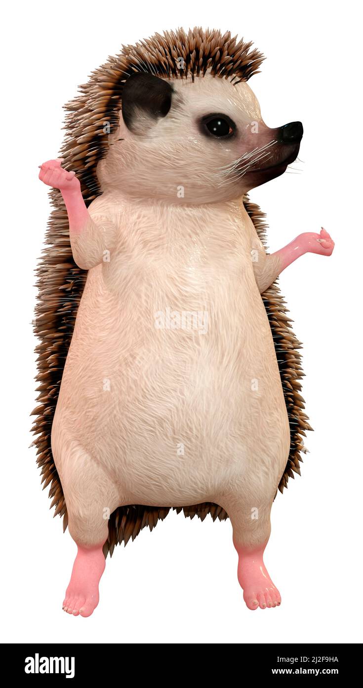 3D rendering of a hedgehog dancing isolated on white background Stock ...