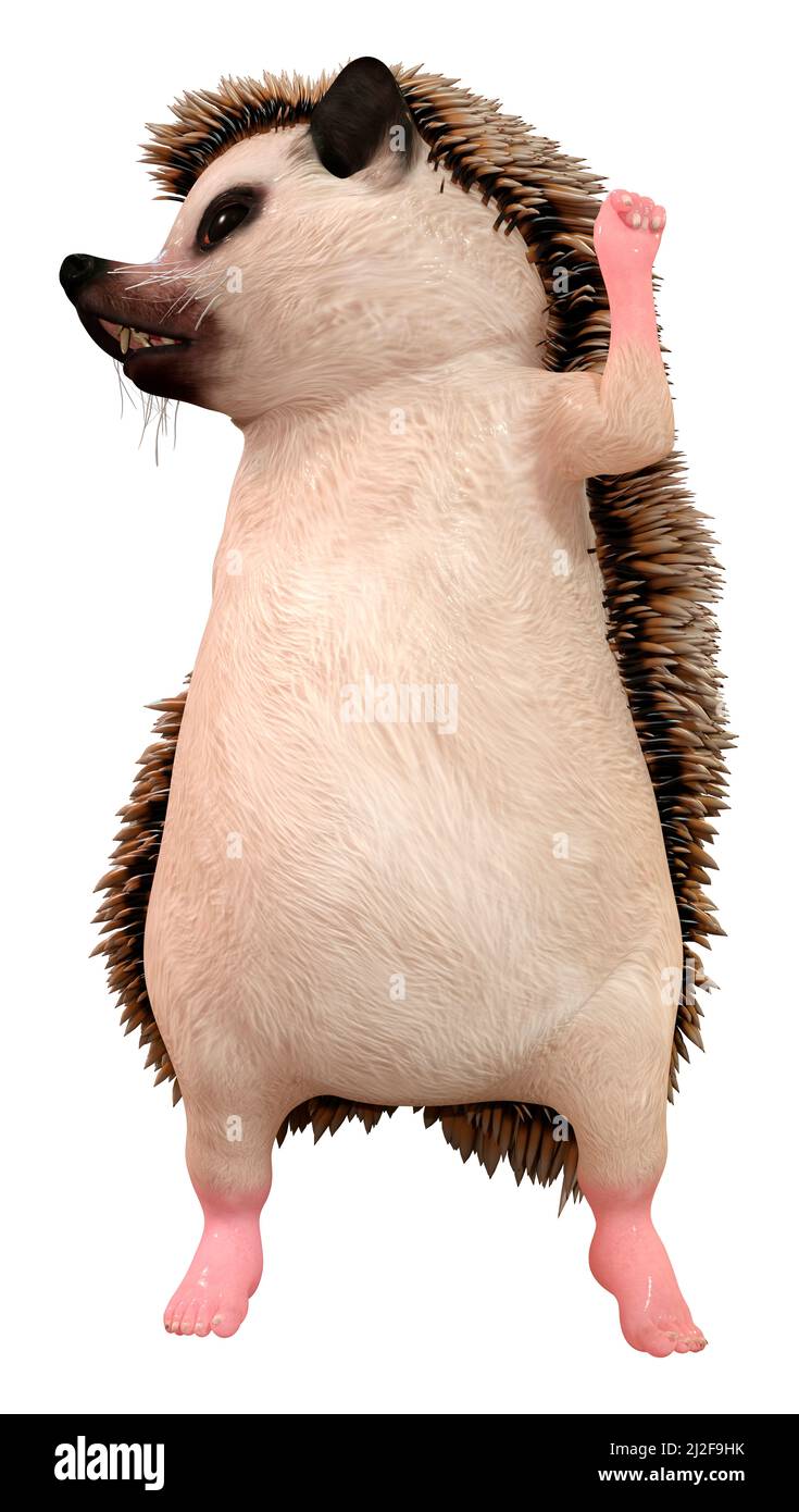 3D rendering of a hedgehog dancing isolated on white background Stock ...
