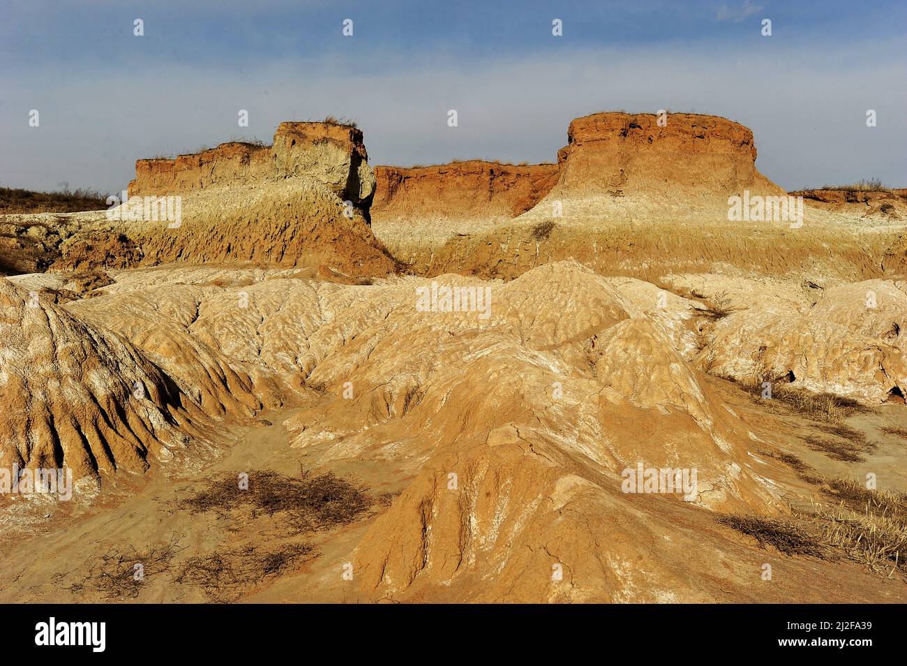 Photo taken on Jan 24, 2018 shows a landscape of soil forests in Datong ...
