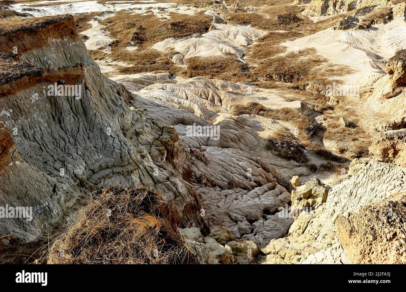 Photo taken on Jan 24, 2018 shows a landscape of soil forests in Datong ...