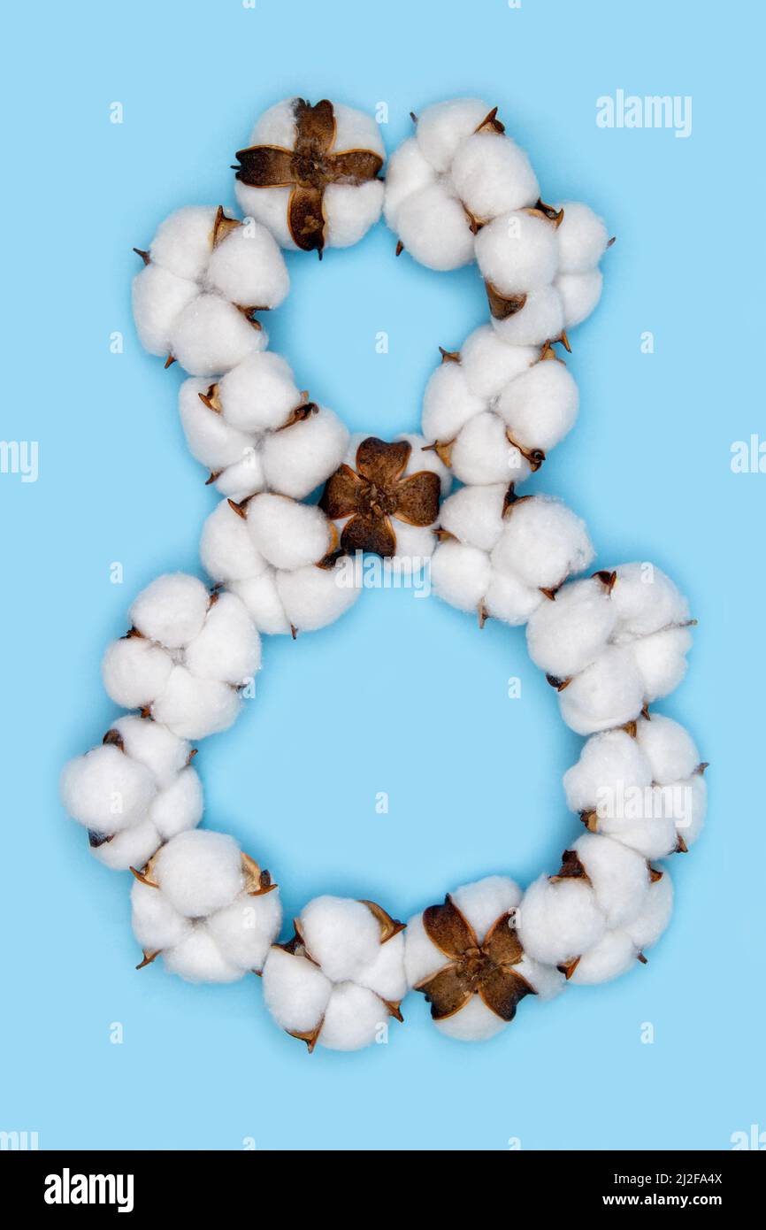 Number 8 made of cotton flowers and isolated on solid blue background ...