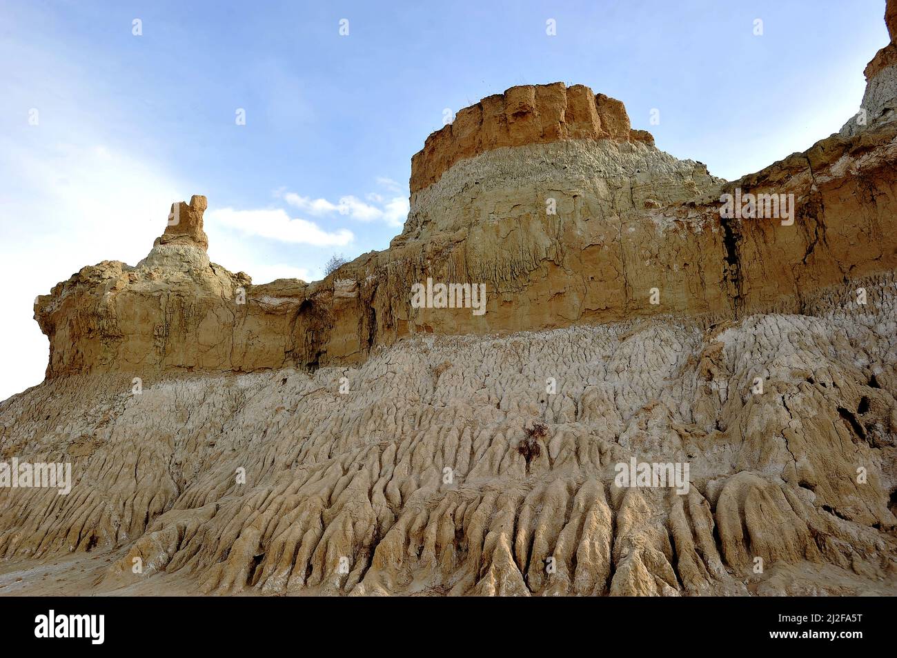 Photo taken on Jan 24, 2018 shows a landscape of soil forests in Datong ...