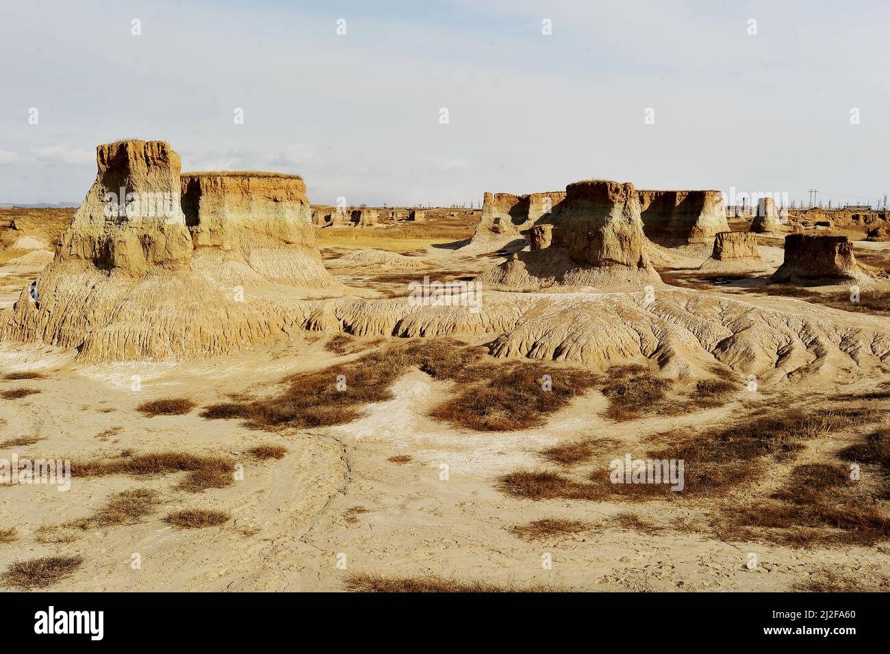 Photo taken on Jan 24, 2018 shows a landscape of soil forests in Datong ...