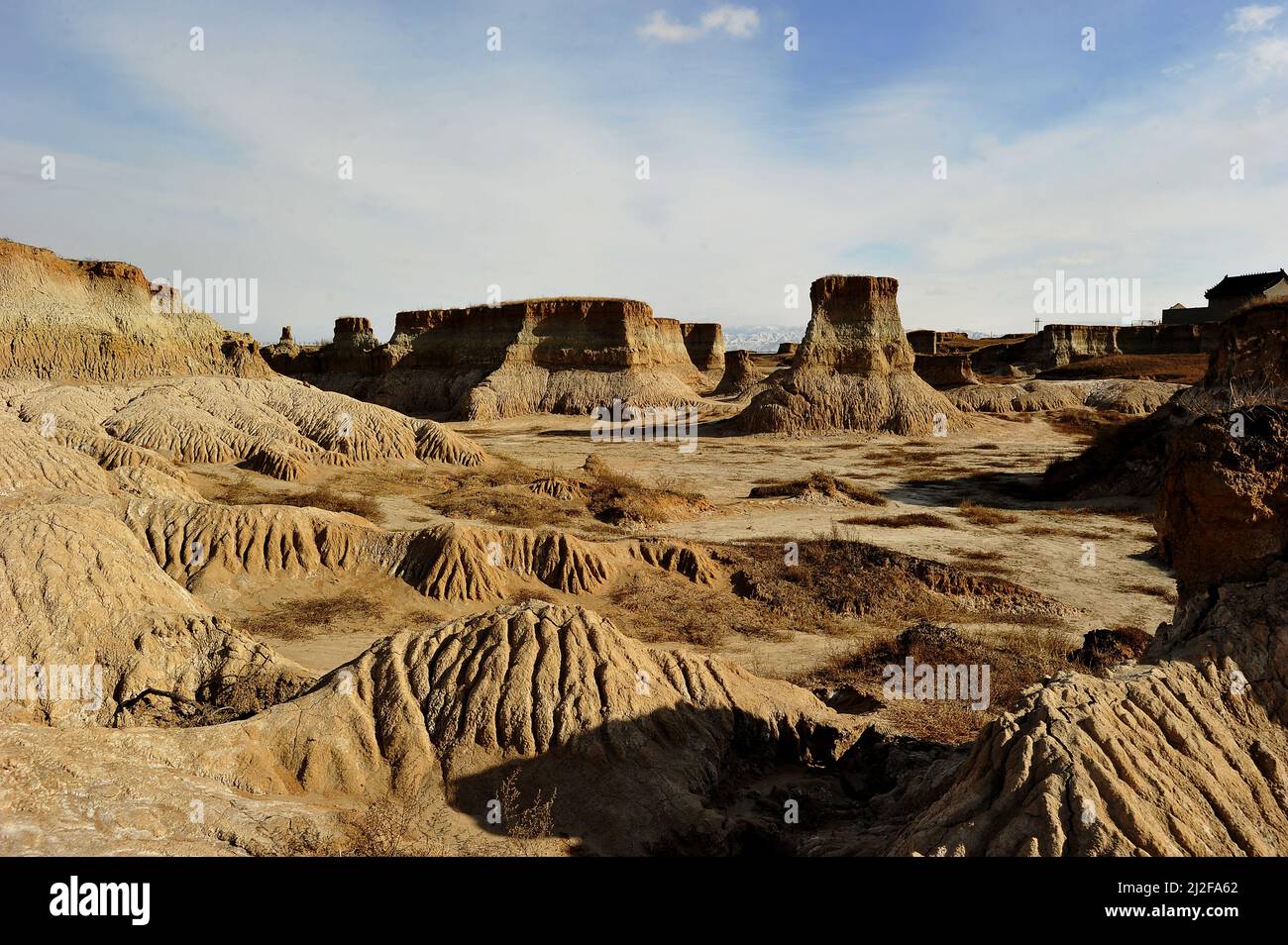 Photo taken on Jan 24, 2018 shows a landscape of soil forests in Datong ...