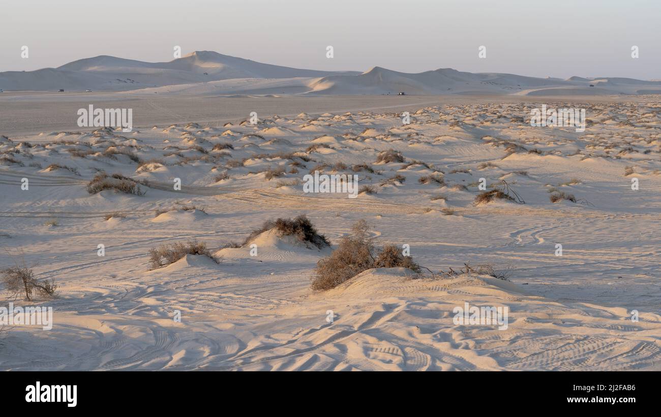 Doha, Qatar- March 11,2022 : plants grown on top small dune mountains ...